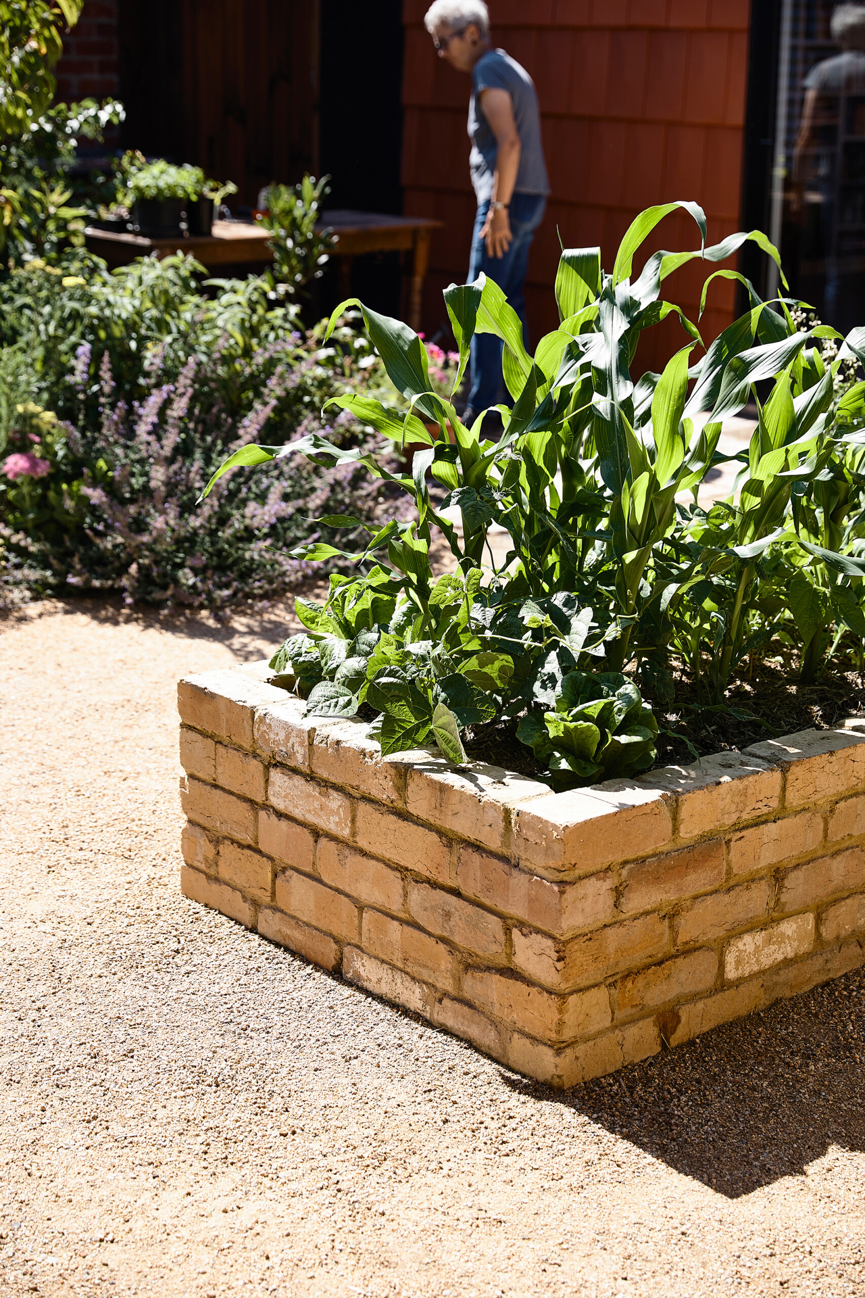 Ben Saunders Landscapes — Terracotta House