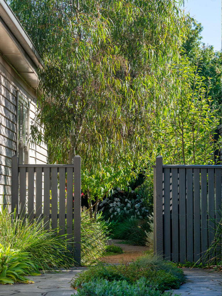 Ben Saunders Landscapes — Ivanhoe